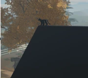 Spider | Npc Wcue Wiki | Fandom