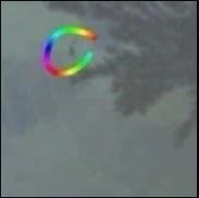 Spider | Npc Wcue Wiki | Fandom