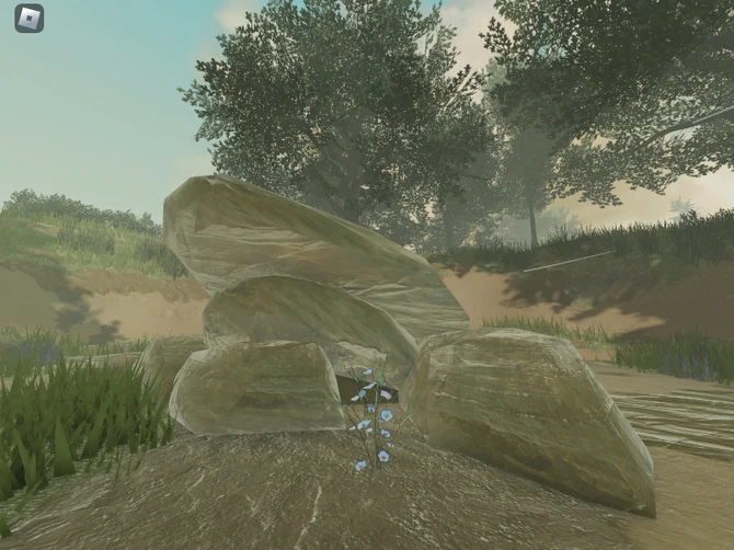 WindClan | Npc Wcue Wiki | Fandom