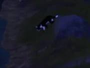 Luna | Npc Wcue Wiki | Fandom