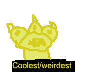 Spider | Npc Wcue Wiki | Fandom