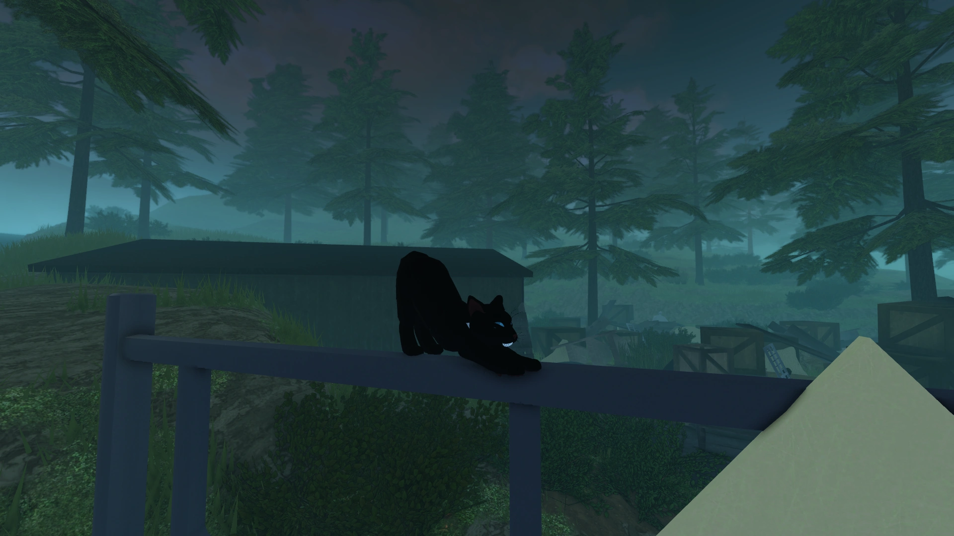 Discuss Everything About Npc Wcue Wiki | Fandom