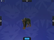 Blood | Npc Wcue Wiki | Fandom