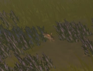 Hare | Npc Wcue Wiki | Fandom