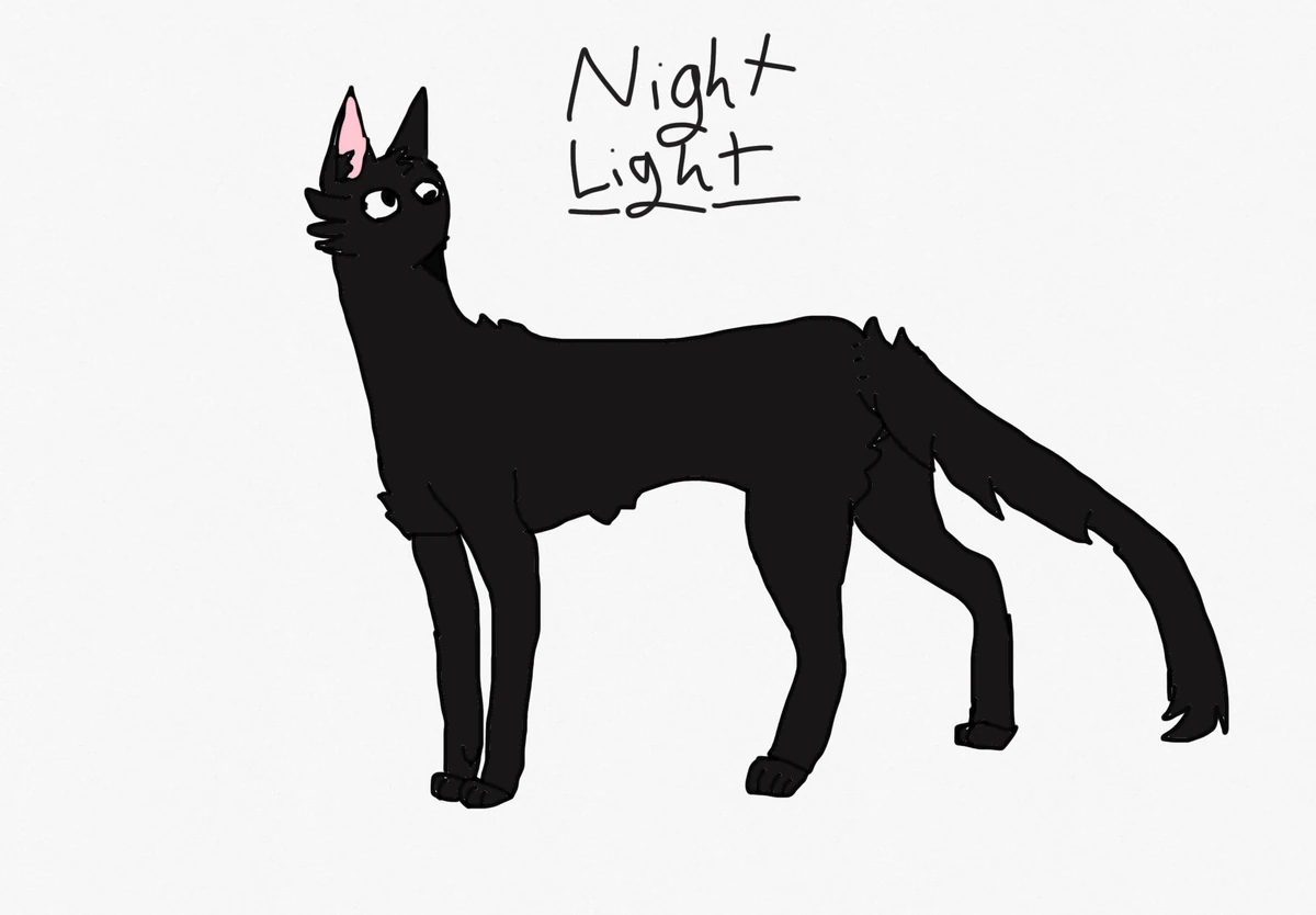 Night Light | Npc Wcue Wiki | Fandom