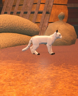 Solstice | Npc Wcue Wiki | Fandom