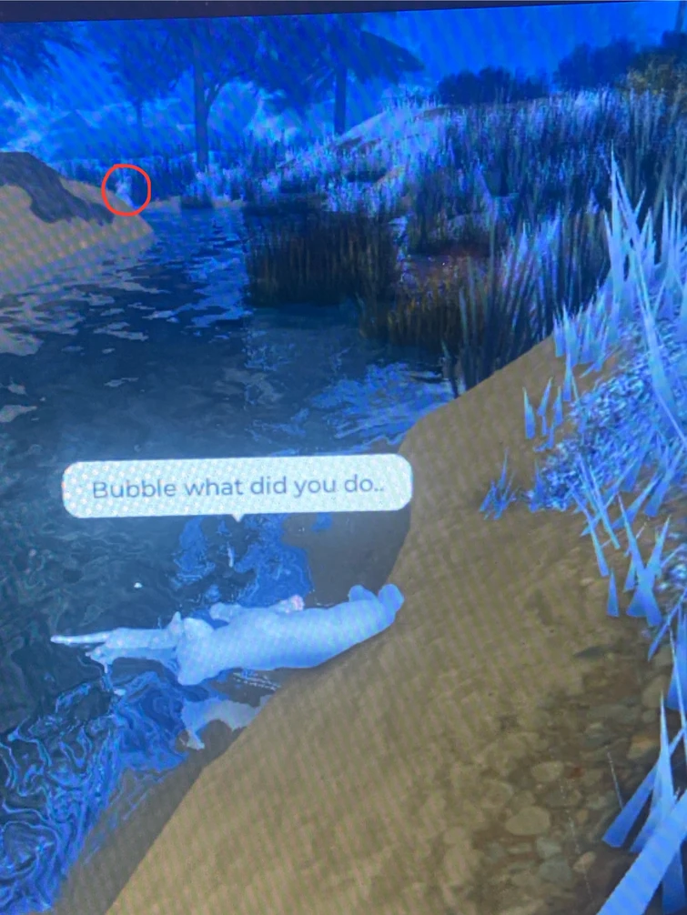 Bubble | Npc Wcue Wiki | Fandom