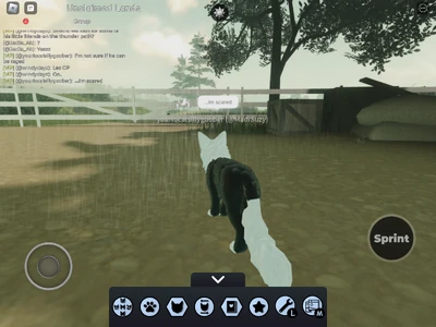 Statcher | Npc Wcue Wiki | Fandom