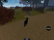 Burn | Npc Wcue Wiki | Fandom