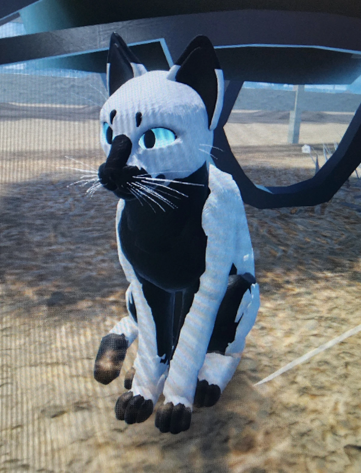 Windrunner | Npc Wcue Wiki | Fandom