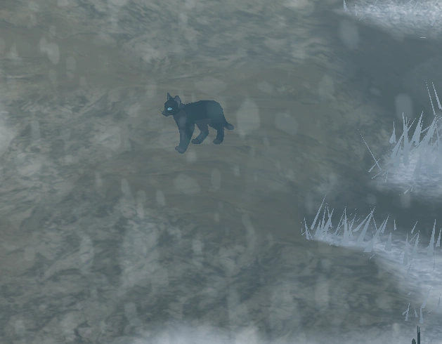 Category:Proof seems fake | Npc Wcue Wiki | Fandom