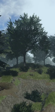 Treewalker | Npc Wcue Wiki | Fandom