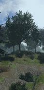Treewalker | Npc Wcue Wiki | Fandom