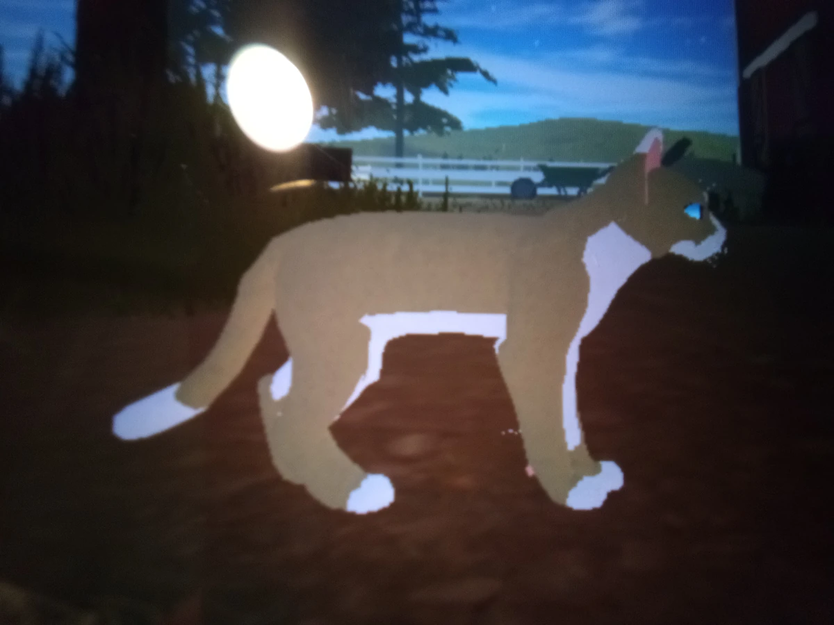 Elf | Npc Wcue Wiki | Fandom