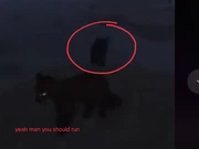 Fearless | Npc Wcue Wiki | Fandom