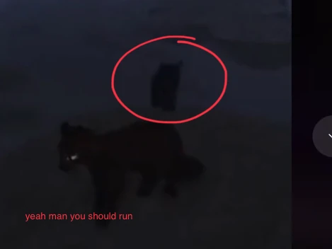 Fearless | Npc Wcue Wiki | Fandom