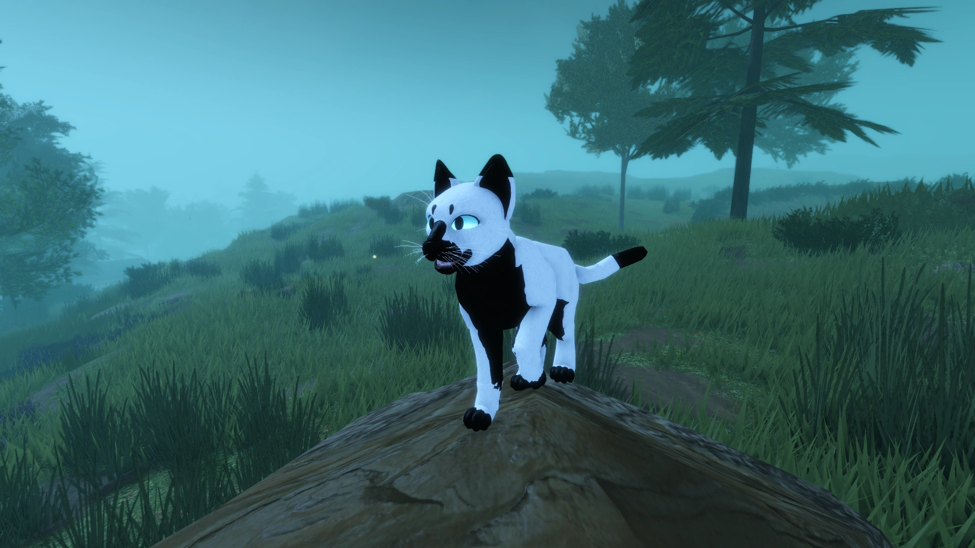 Discuss Everything About Npc Wcue Wiki | Fandom