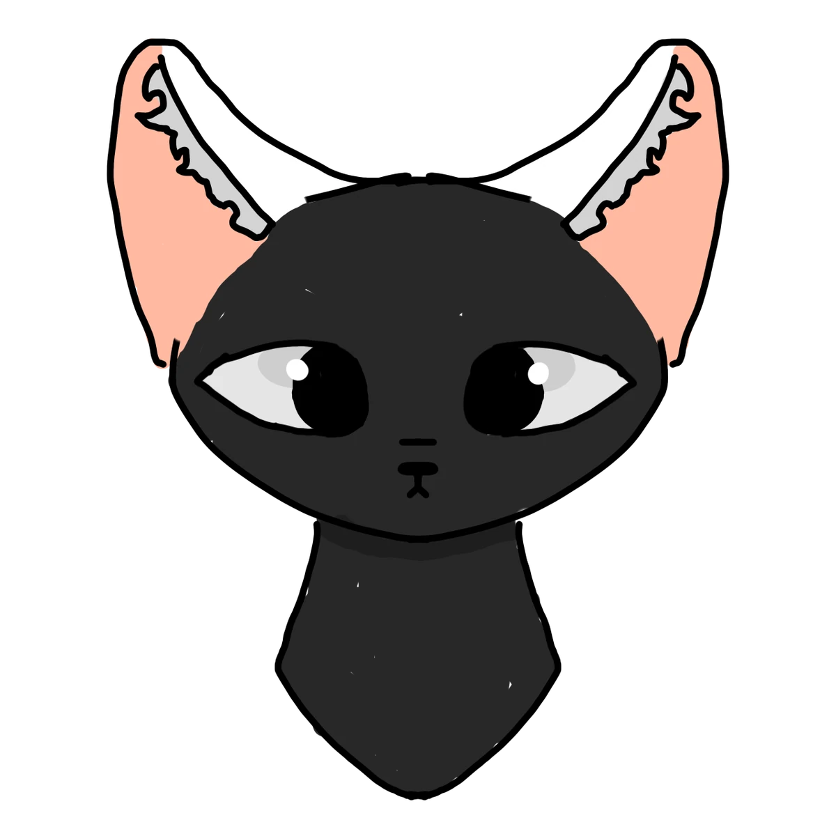 B&W | Npc Wcue Wiki | Fandom