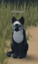 Discuss Everything About Npc Wcue Wiki | Fandom