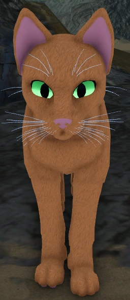 Error Message006 | Npc Wcue Wiki | Fandom