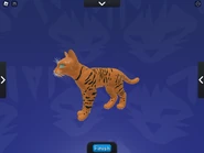 Npc Wcue Wiki | Fandom