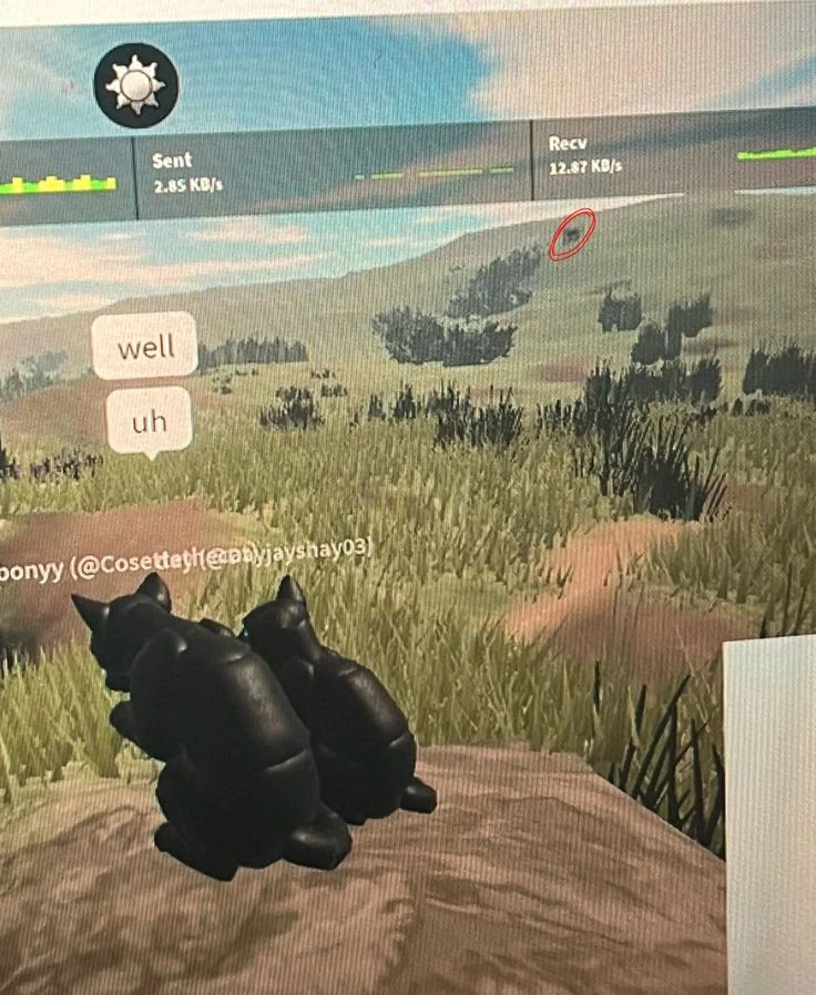 Enigma | Npc Wcue Wiki | Fandom