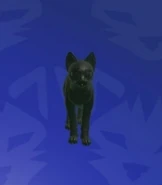 Faceless | Npc Wcue Wiki | Fandom