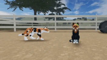 How to avoid and find out Npc trollers | Npc Wcue Wiki | Fandom