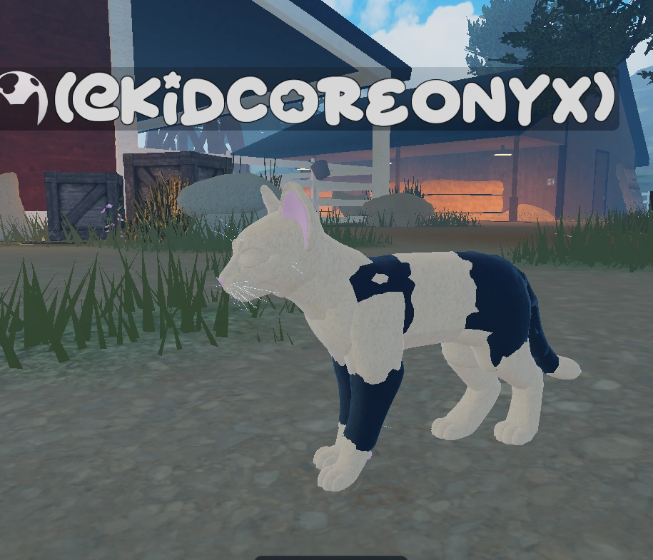 Creator | Npc Wcue Wiki | Fandom