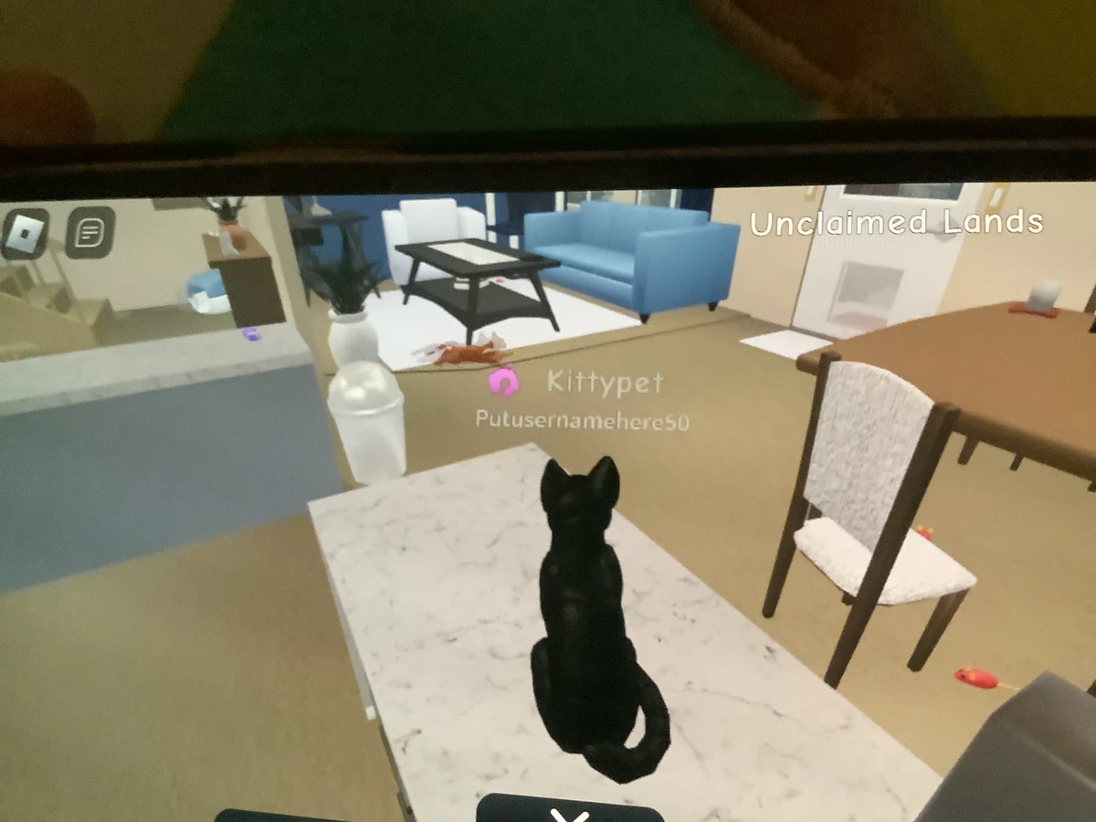 Starry and Sky | Npc Wcue Wiki | Fandom