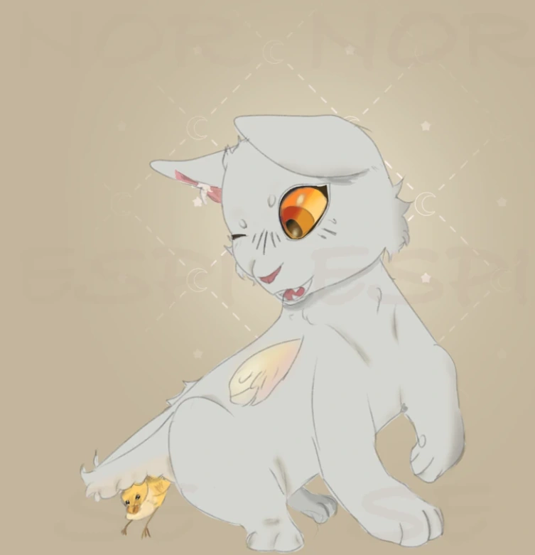 Discuss Everything About Npc Wcue Wiki | Fandom