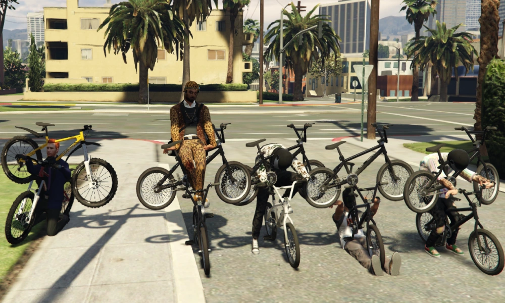 BMX Gang/Public Purple | NoPixel Public Wiki | Fandom