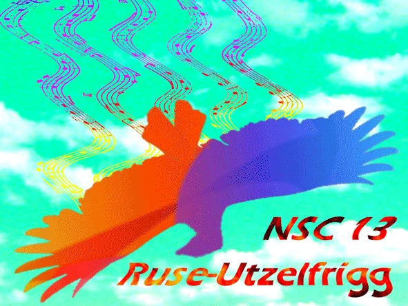 NSC 13 | NSC-Wiki | Fandom