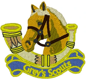 Grey's Scouts | The Cosmic Defence Coalition Wiki | Fandom