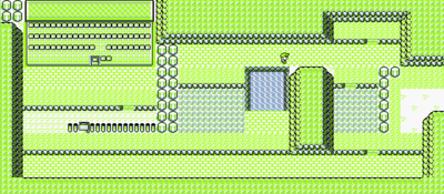 Pokémon Red, Blue and Yellow (Game Boy) Walkthrough - Part 2 ...