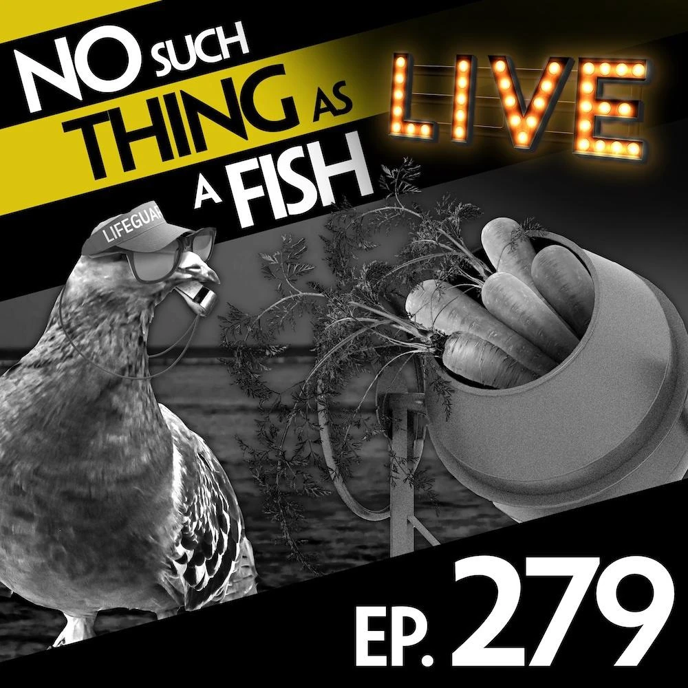Episode 279: No Such Thing As A Backflipping Doctor | No Such Thing As ...