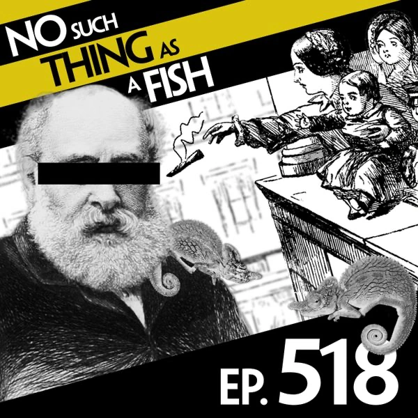 Episode 518: No Such Thing As Andrew Marvell’s Cinematic Universe | No ...