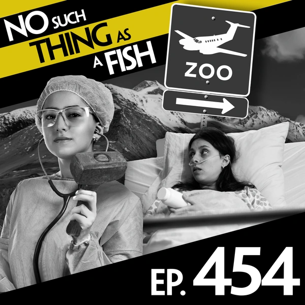Episode 454: No Such Thing As A Midsummer Night’s Bream | No Such Thing ...