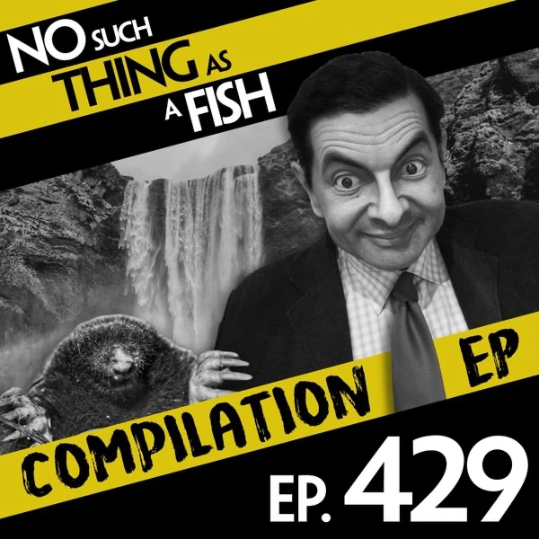 Episode 429: No Such Thing As A Newsbite | No Such Thing As A Fish Wiki ...