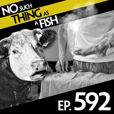 Episode 592: No Such Thing As A Cat In A Muumuu | No Such Thing As A ...