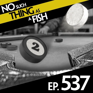 Episode 537: No Such Thing As The Notorious British Institute Of ...