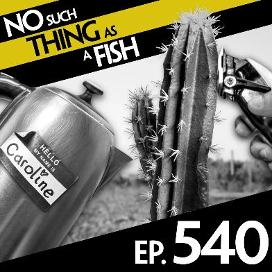 Episode 540: No Such Thing As The Three Gorgeous Dams | No Such Thing ...