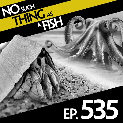 Episode 535: No Such Thing As An Inside-Out Dolphin | No Such Thing As ...