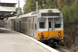 Sydney Trains C Set | NSW Trains Wiki | Fandom