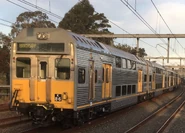 Sydney Trains | NSW Trains Wiki | Fandom