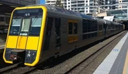 Sydney Trains T Set | NSW Trains Wiki | Fandom