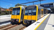 Sydney Trains T Set | NSW Trains Wiki | Fandom