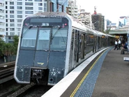 Sydney Trains T Set | NSW Trains Wiki | Fandom