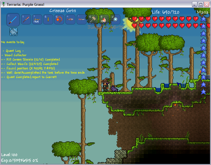 Quests | N Terraria Wiki | Fandom