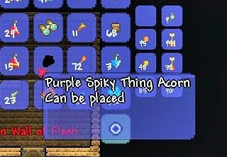 Purple Spiky Thing Acorn | N Terraria Wiki | Fandom